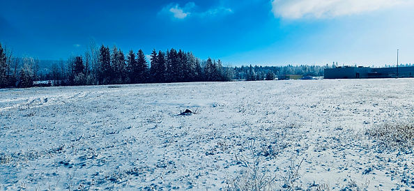 Structural and Civil Engineers | OCTO Engineering | Williams Lake, BC